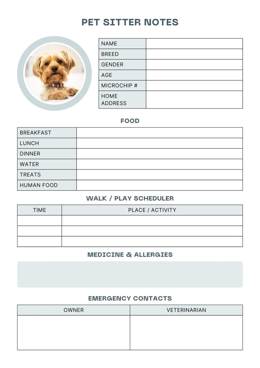 Pet Care Guide Template