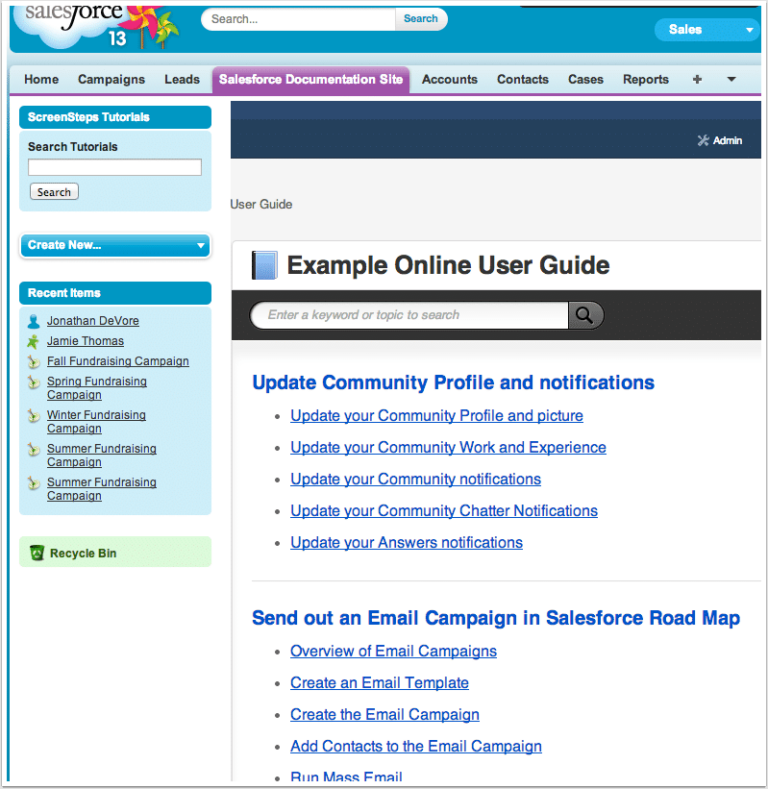 Salesforce User Guide Template